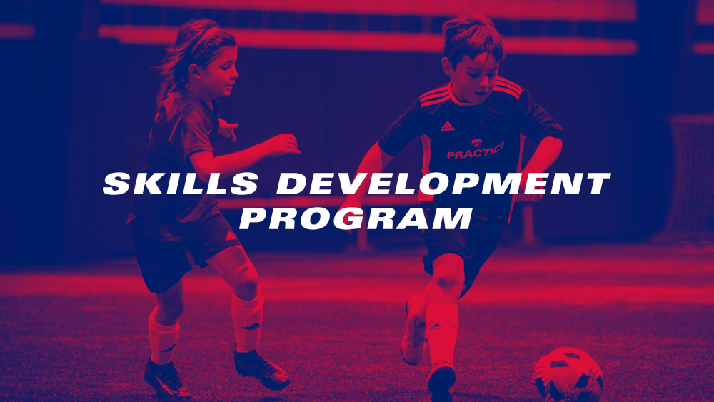 Skills Development